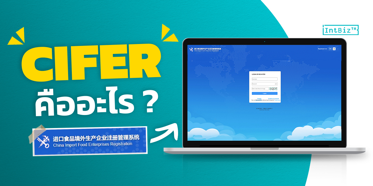 CIFER คืออะไร? | บริษัท อินเทลลิเจ็นซ์ บีสเน็ซ (ไทยเเลนด์) จำกัด